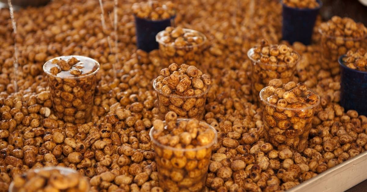 Origen de la chufa: ¿De dónde viene este tubérculo? 🥛 HorchateriaDolz